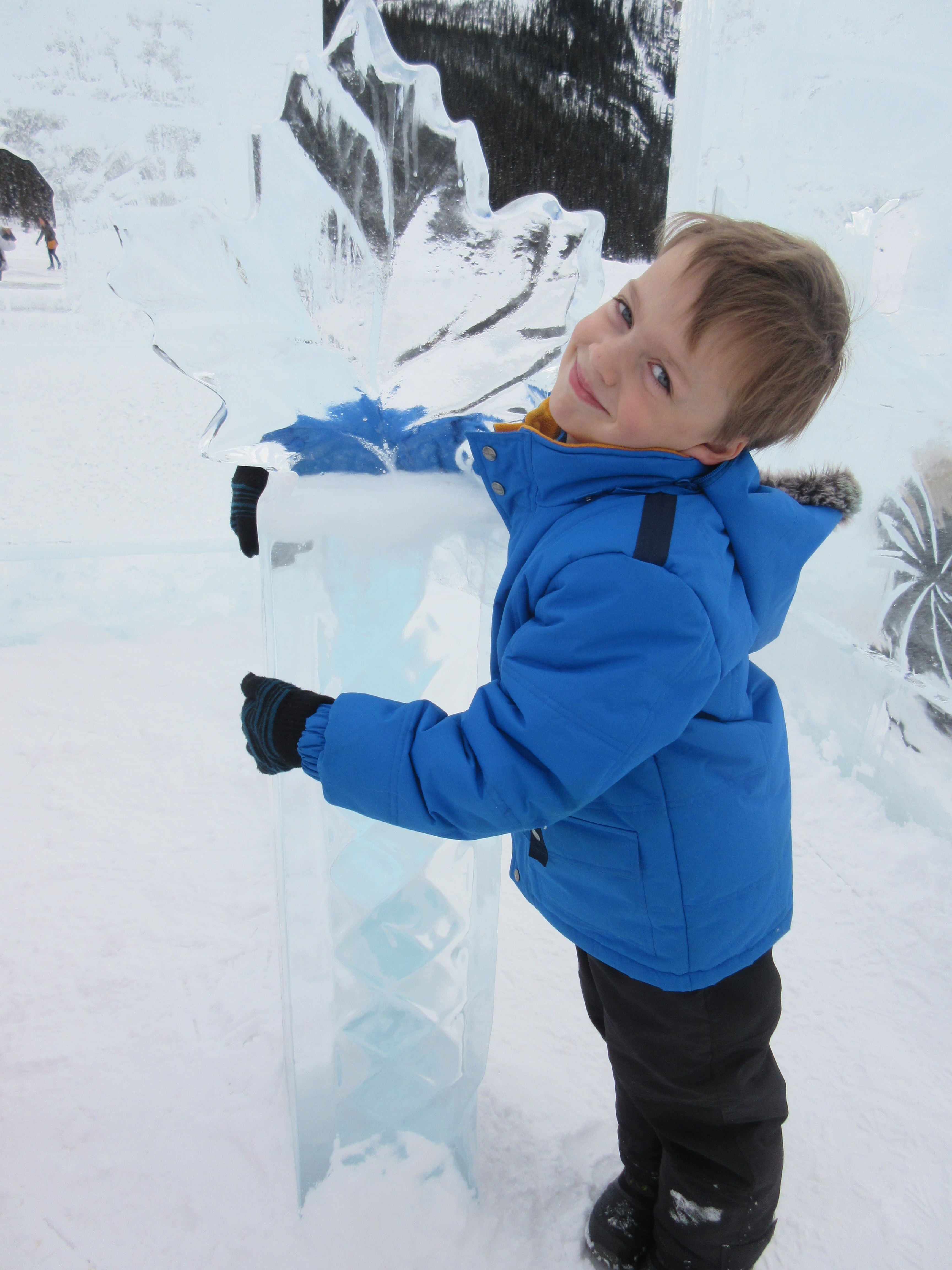 An Overseas Perspective – Letter to Stephen Hammond MP | summerbornchildren